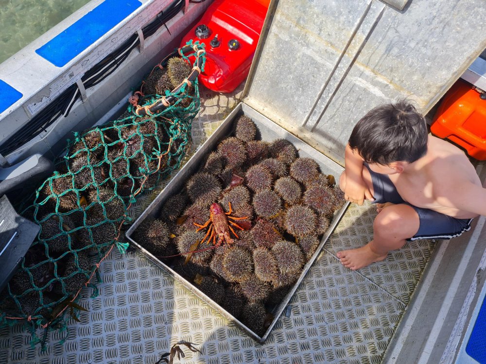 Te Pōhā - Te Rūnanga O Moeraki : Otago Community Trust