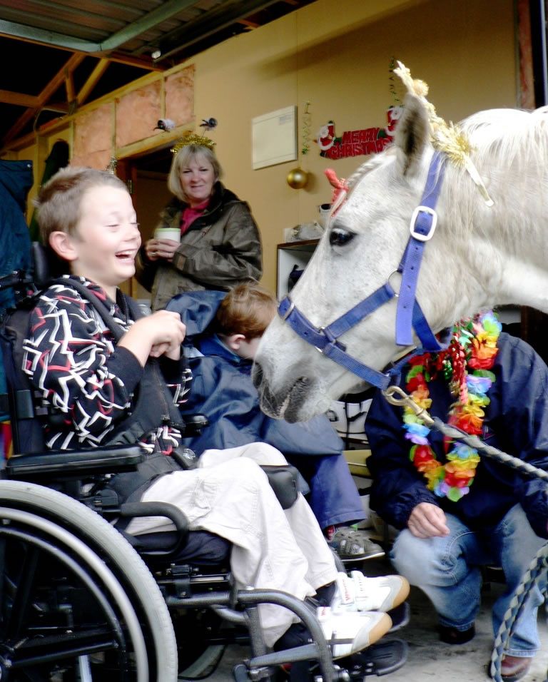 Facility improvements for Dunedin Riding for the Disabled : Otago ...